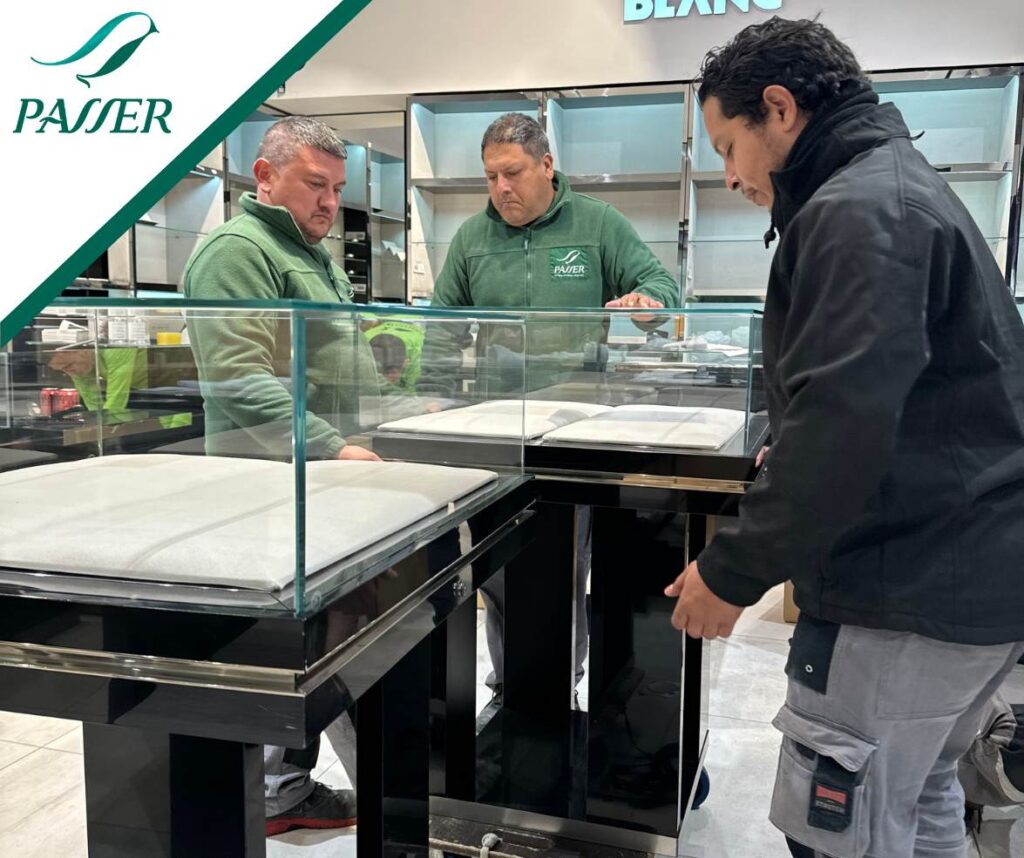 Reubicación Empresarial - Passer 2024